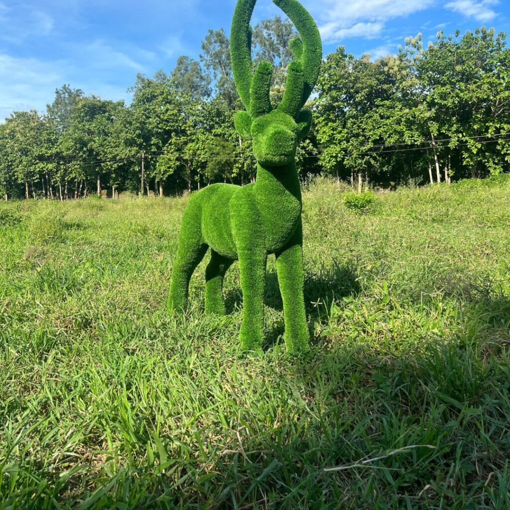 Artificial Grass Deer – Artificial Turf | Artificial Grass | Revturf