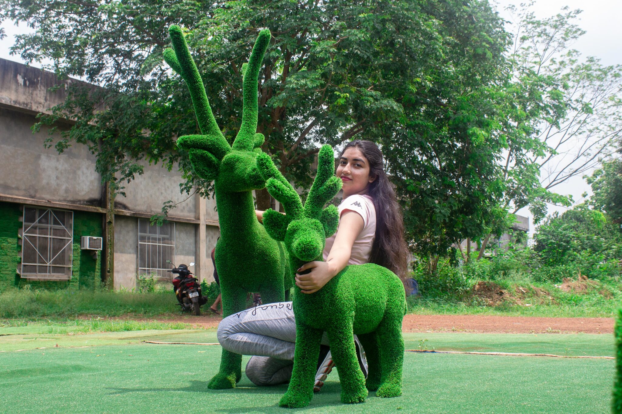 Artificial Grass Deer – Artificial Turf | Artificial Grass | Revturf