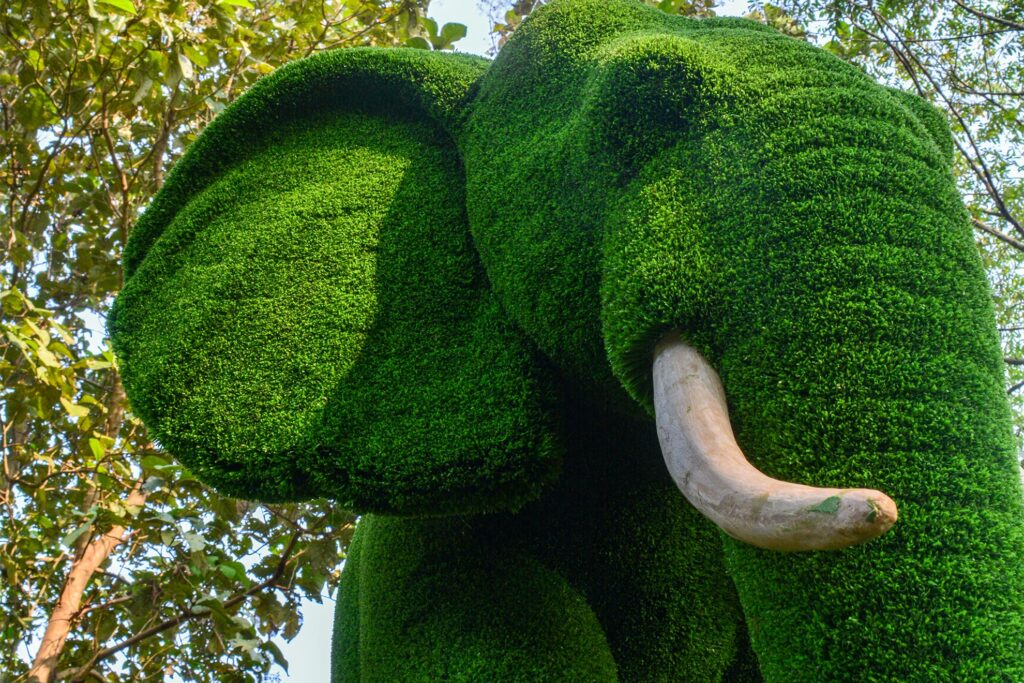 Artificial Grass Mid Size African Elephant – Artificial Turf ...