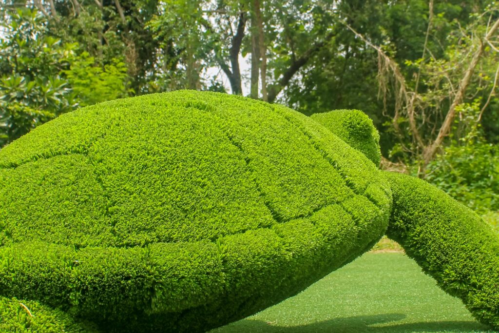 Artificial Grass Turtle – Topiary | Artificial Turf | Revturf