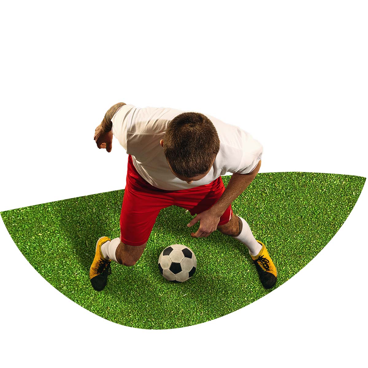 All Products – Artificial Turf | Artificial Grass | Revturf