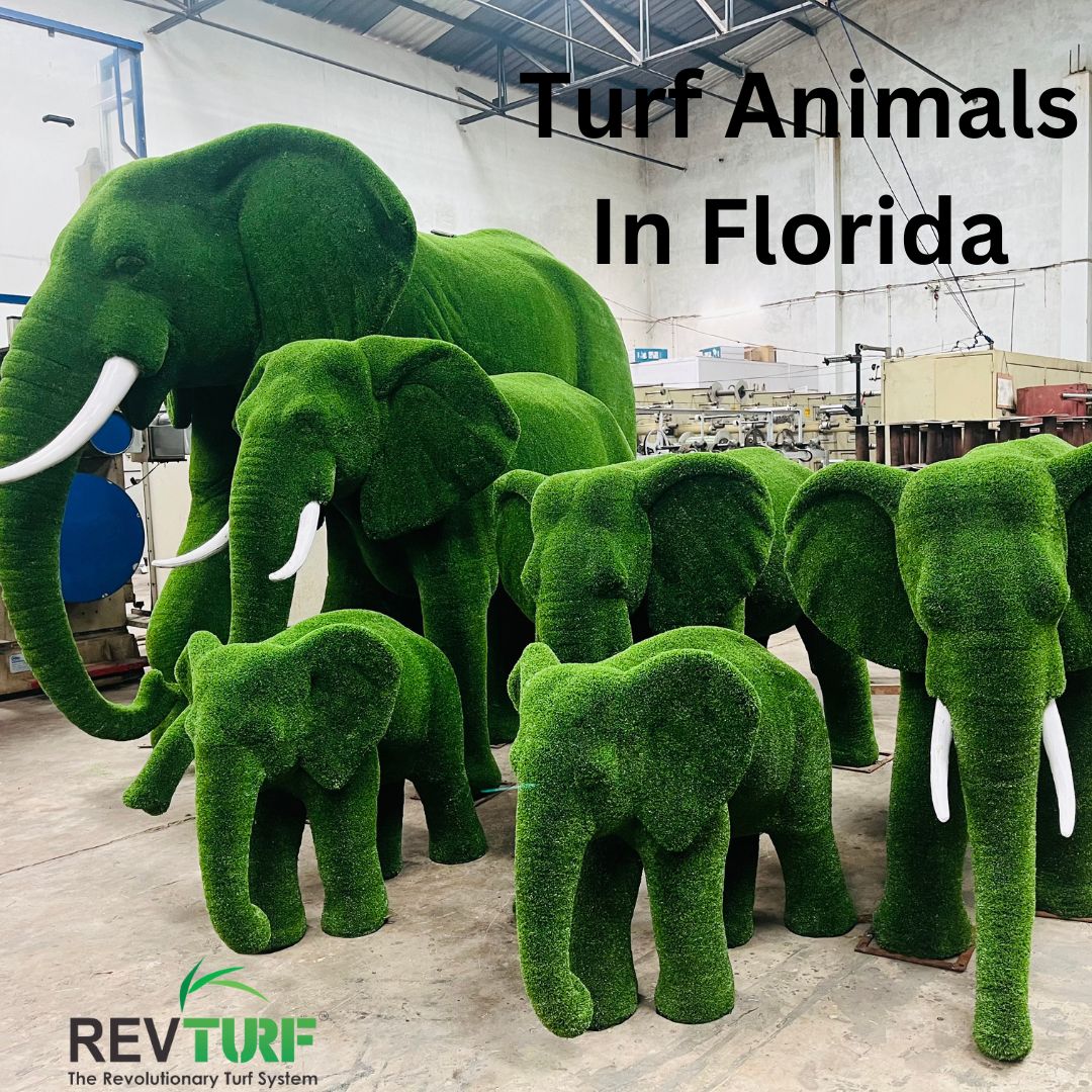 Turf Animals In Florida – Artificial Turf | Artificial Grass | Revturf