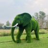 Artificial Grass Animals – Artificial Turf | Artificial Grass | Revturf