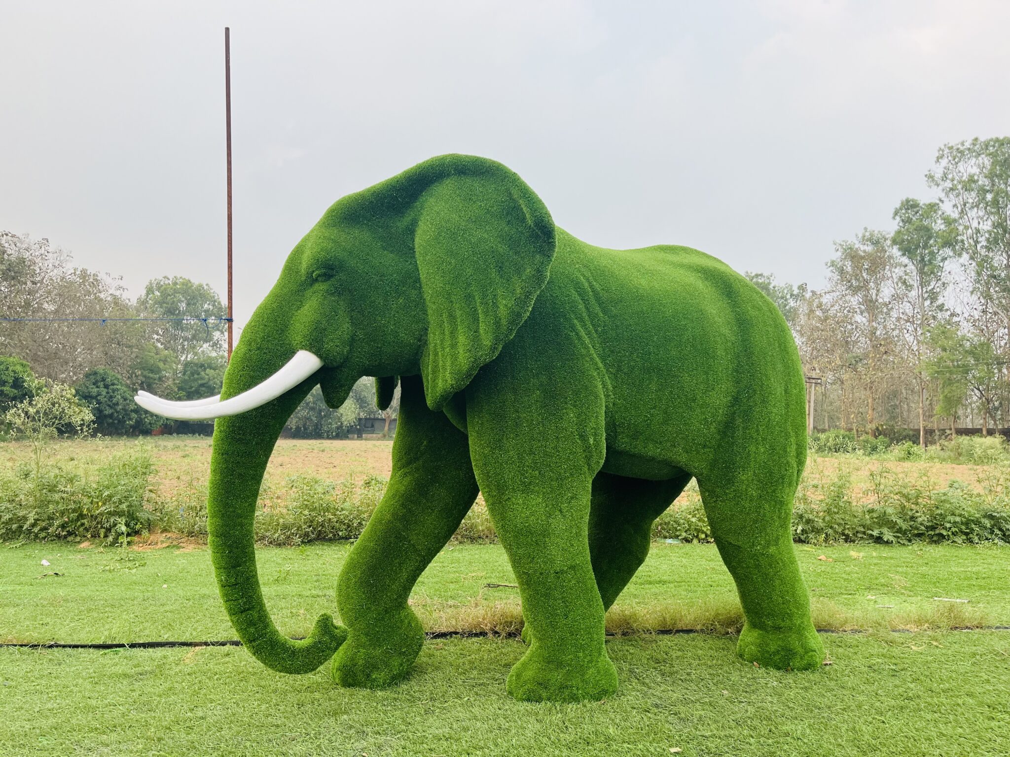Artificial Grass Large African Elephant – Artificial Turf | Artificial ...