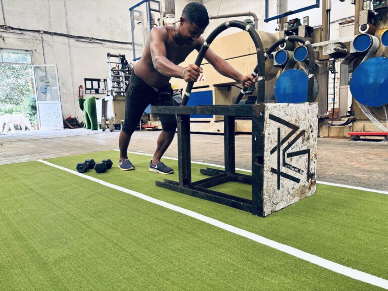 Sled Track ( 6.8 FEET x 50 FEET ) – Artificial Turf | Artificial Grass ...